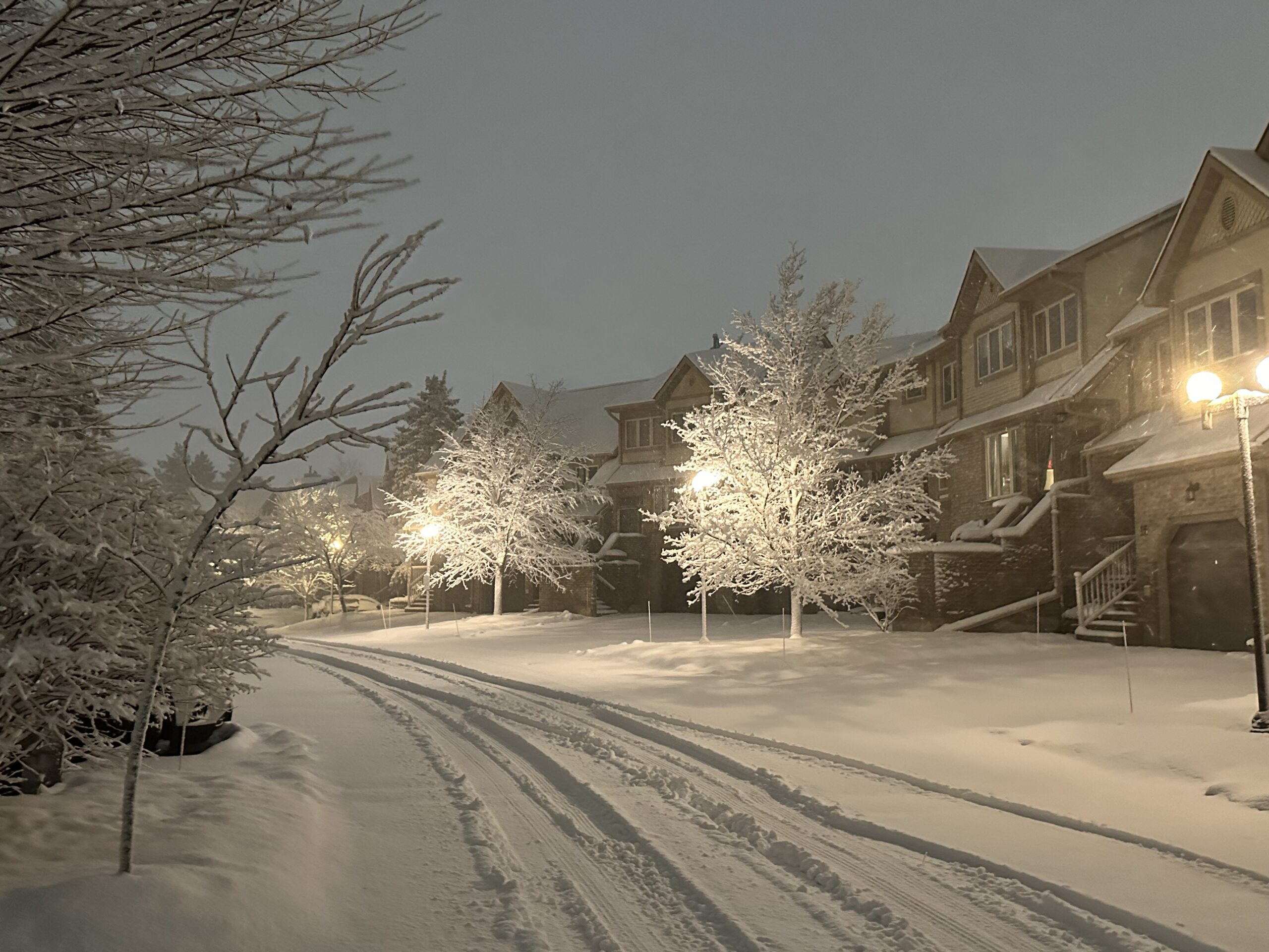 How Mitchell Property Maintenance Works for You In Winter - Mitchell ...
